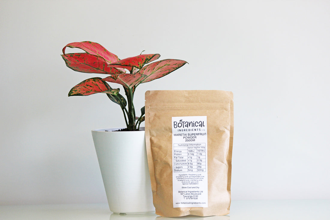 Bulk 100% Pure Freeze Dried Fruit, Powders, Cacao & Agave – Botanical ...